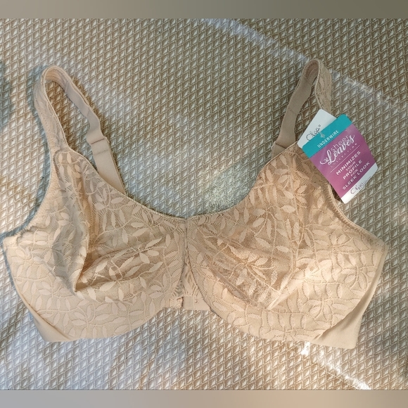 Warner's | Intimates & Sleepwear | Olga Lace Sheer Leaves Underwire ...